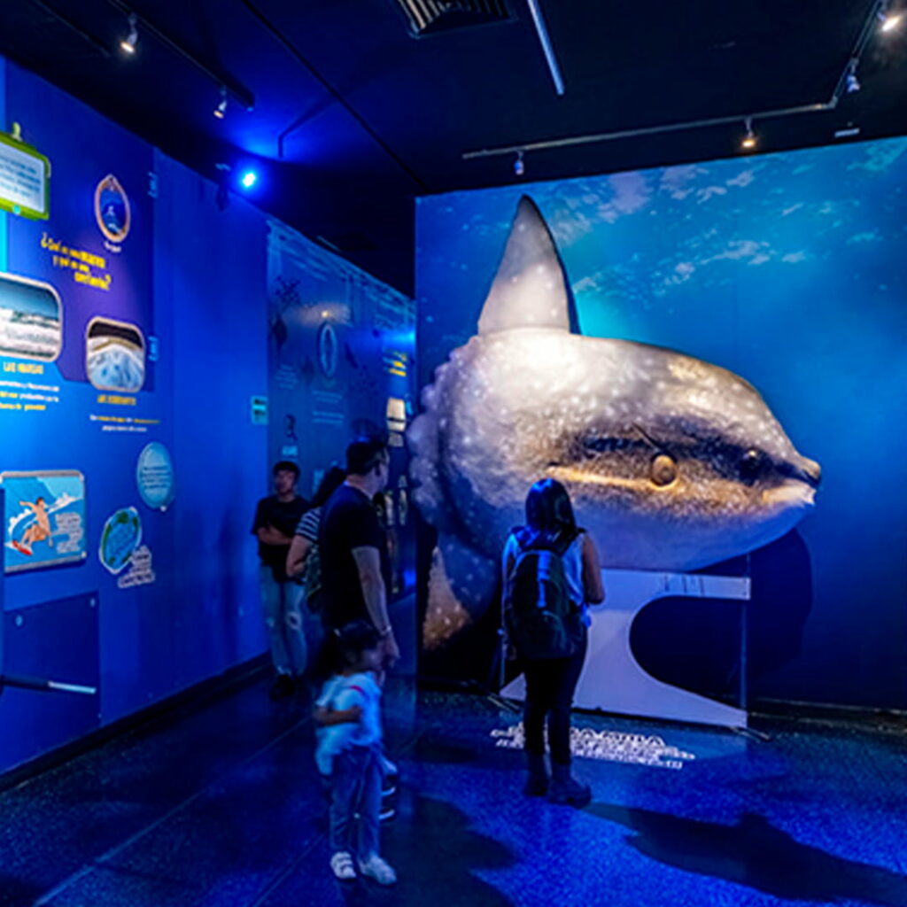 Experiencias - Acuario Inbursa