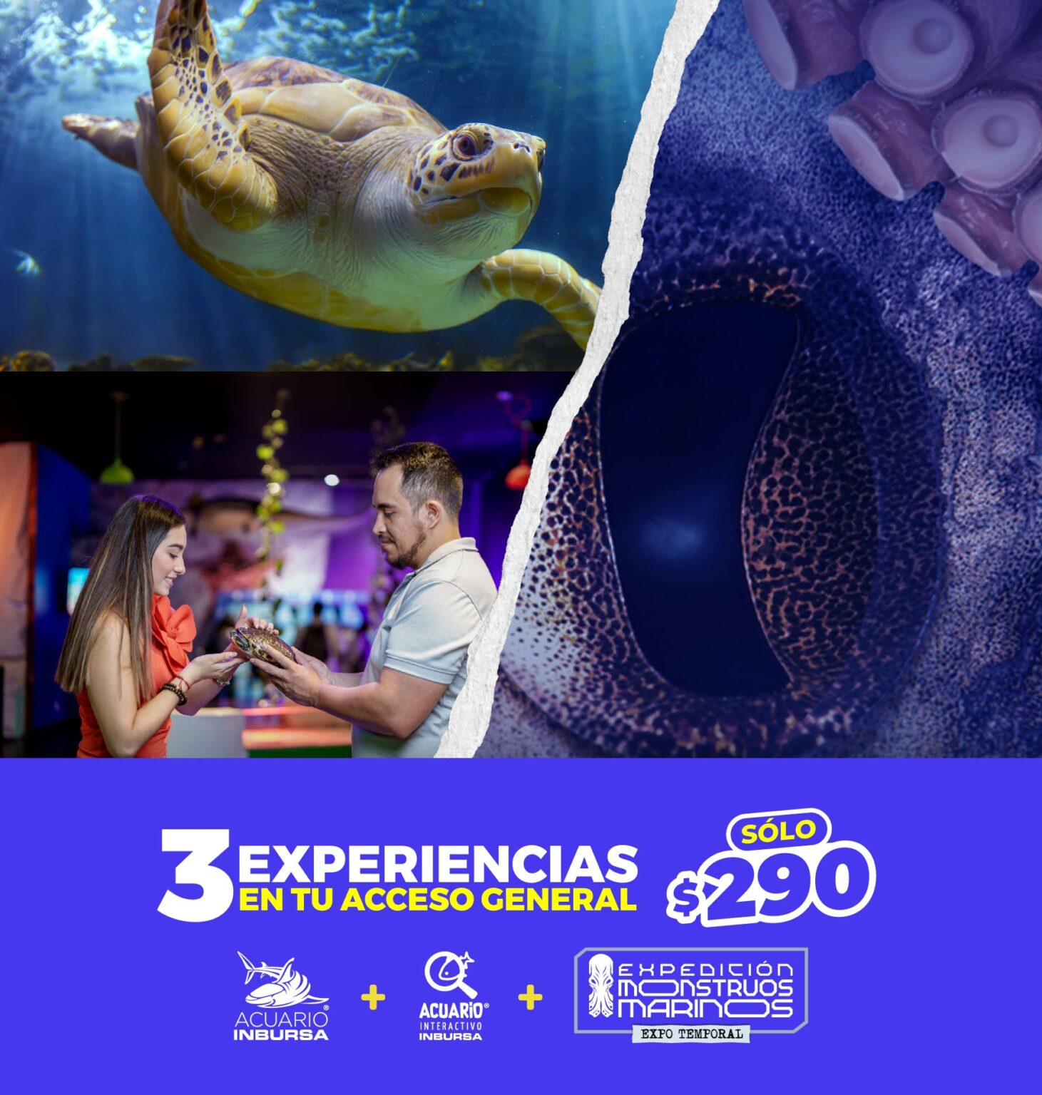 Promociones - Acuario Inbursa