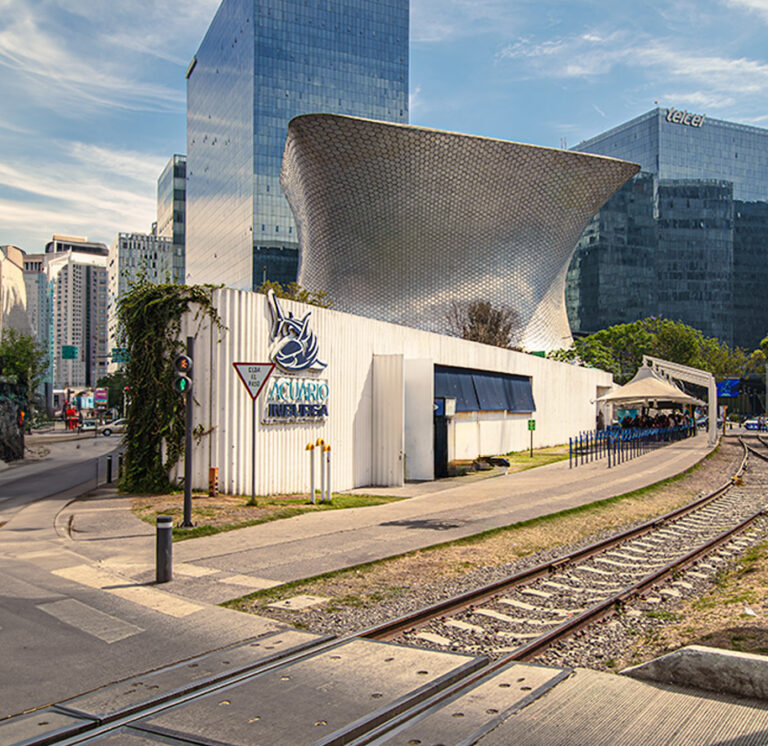 3 Actividades interactivas en Acuario Inbursa: ¡Aprende y toca la vida ...