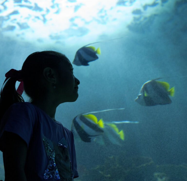 Cómo Acuario Inbursa despierta la creatividad infantil: una visita ...